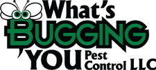 About Us | What's Bugging You Pest Control